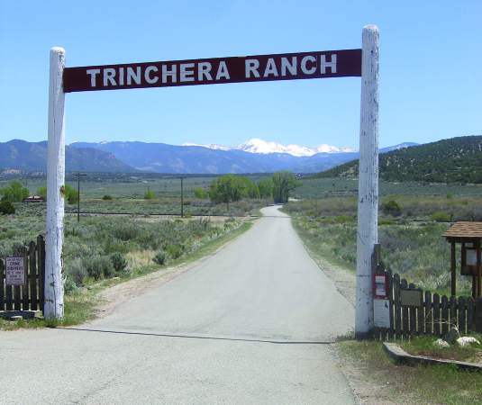 THE WESTERNER: Seeing the forest through the trees?