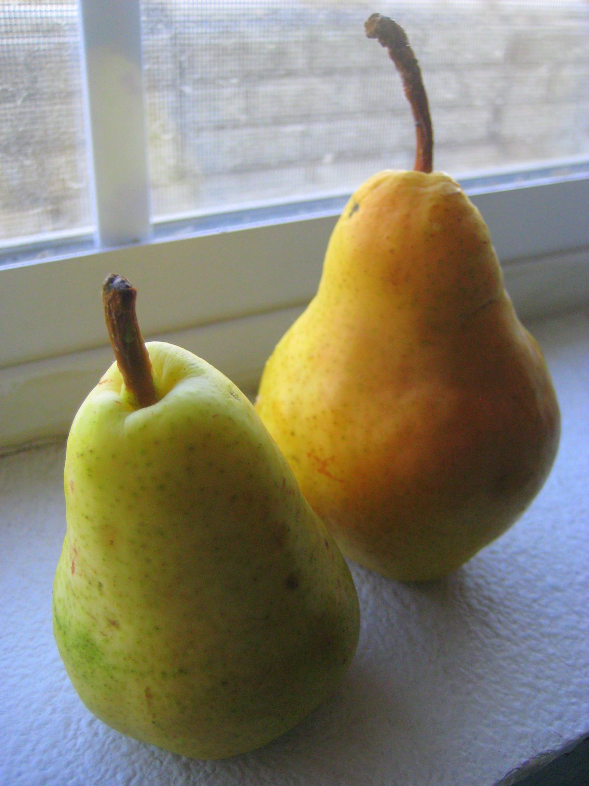 "Put a Lyd on it!": We Make A Good Pear...
