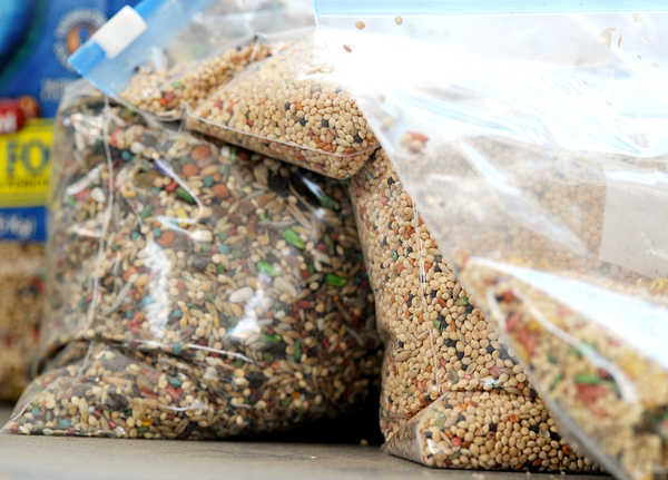 Mesa Blue: Bird Seed Wedding Favors