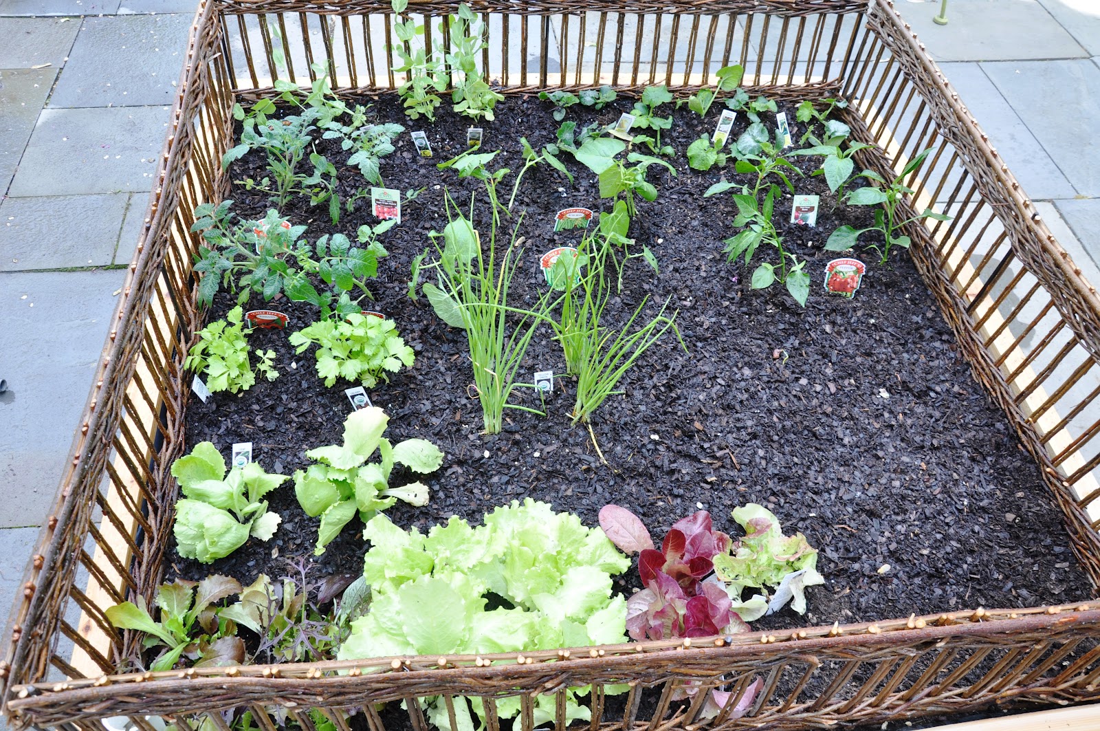 Serendipity Refined Blog: Inspiration and Filling My Potager
