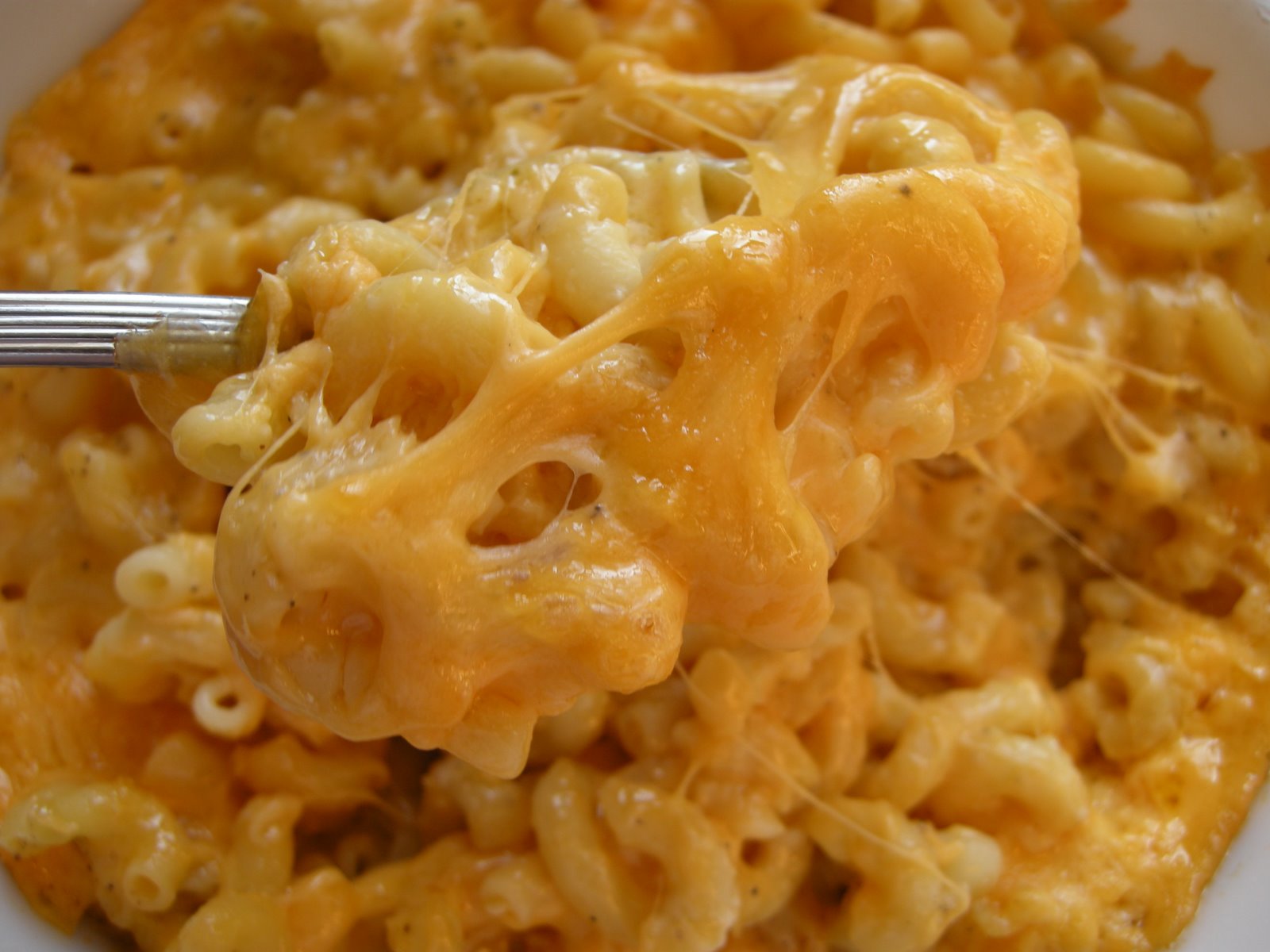Paul's Falls Chance Ranch Cookbook: ~ Macaroni and Cheese