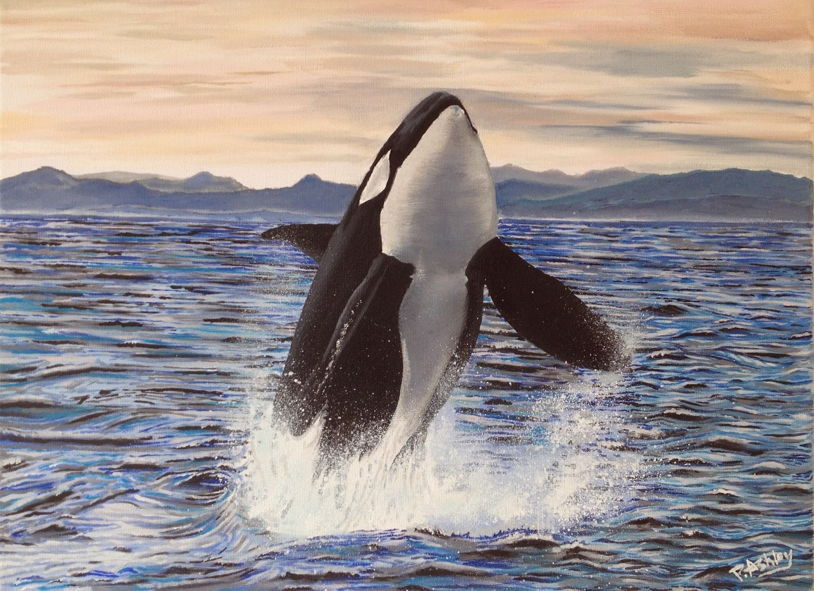Philip Ashley Art: Marine Life paintings gallery