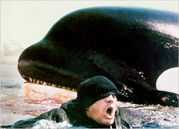 John Kenneth Muir's Reflections on Cult Movies and Classic TV: Beach ...