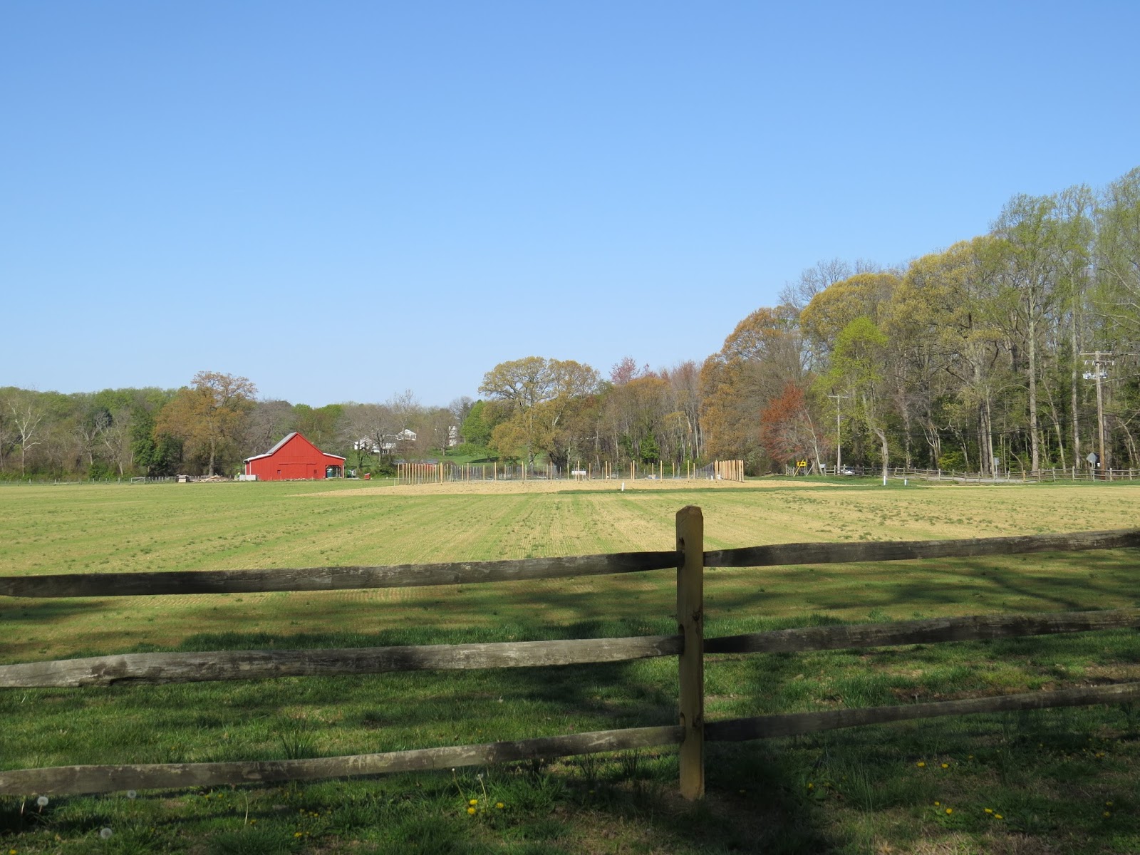Half Acre Flower Farm