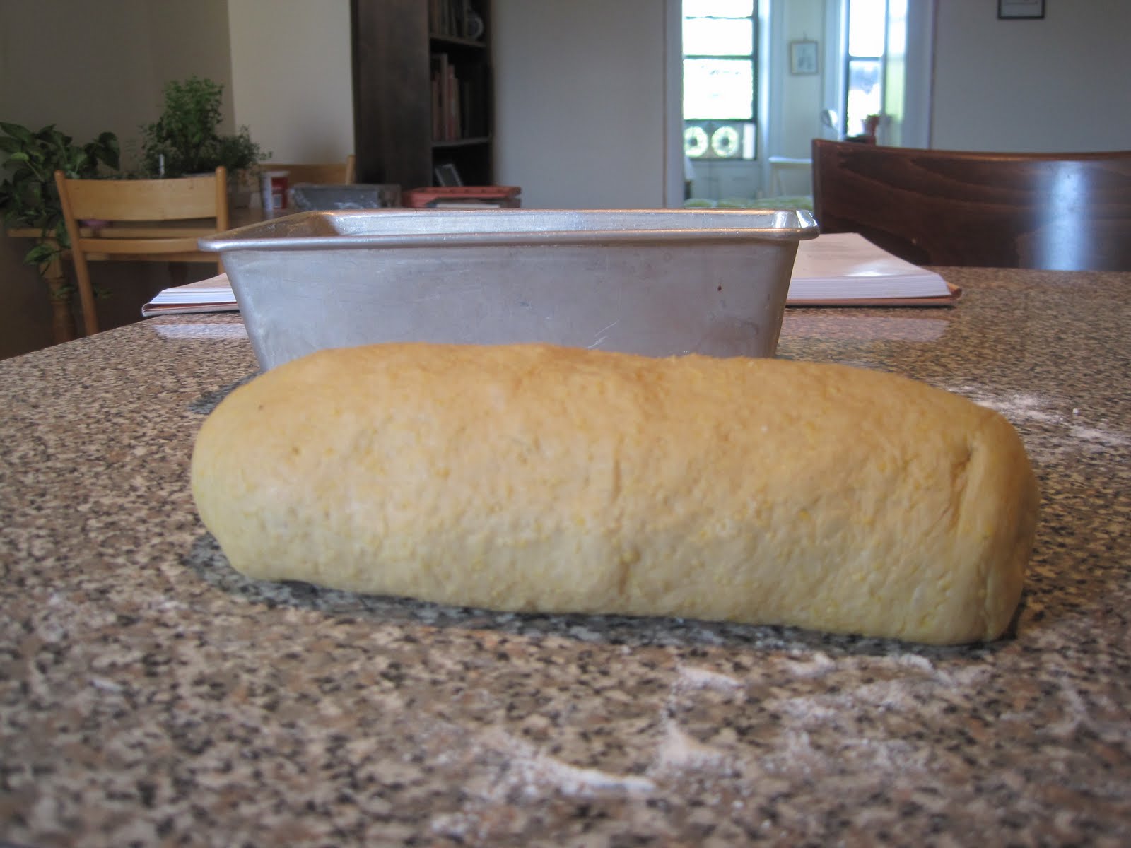 Making Michael Pollan Proud: BBA #1: Anadama Bread