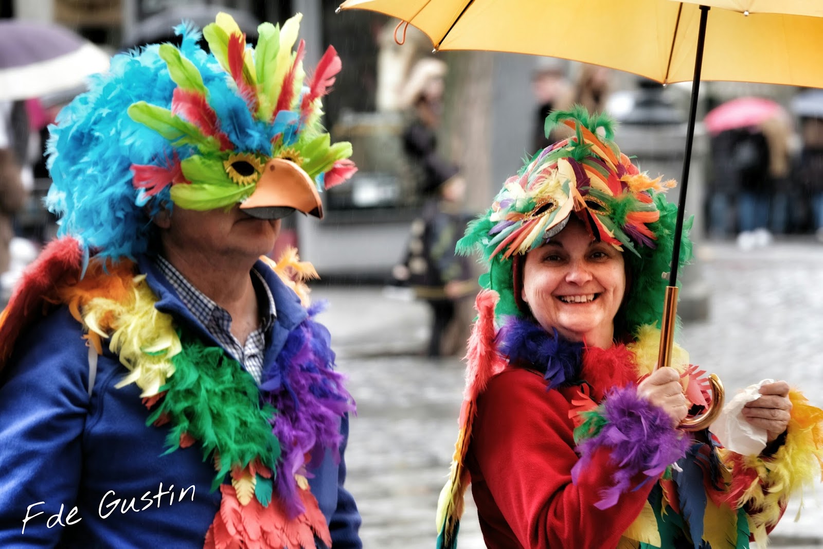 F. DE GUSTIN GALERIA DE FOTOGRAFIAS