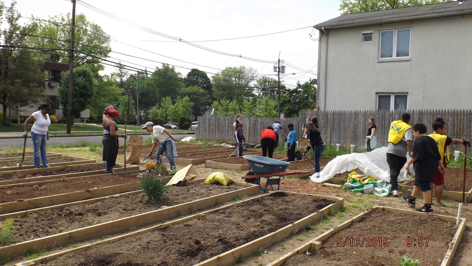 Grow Your Own: Suburban Gardening: Teaching Gardeners: Grades 1 - 3