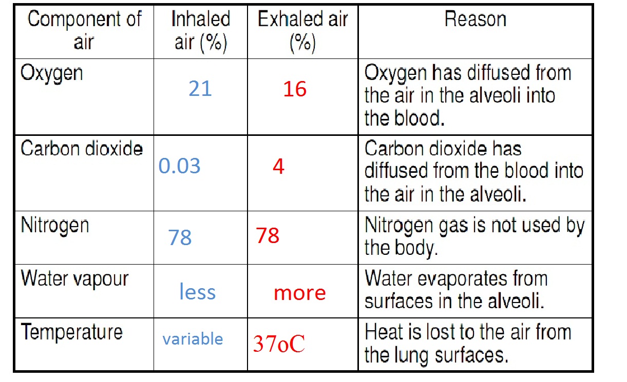 Sub : Oxygen and respiration | Science is Interesting