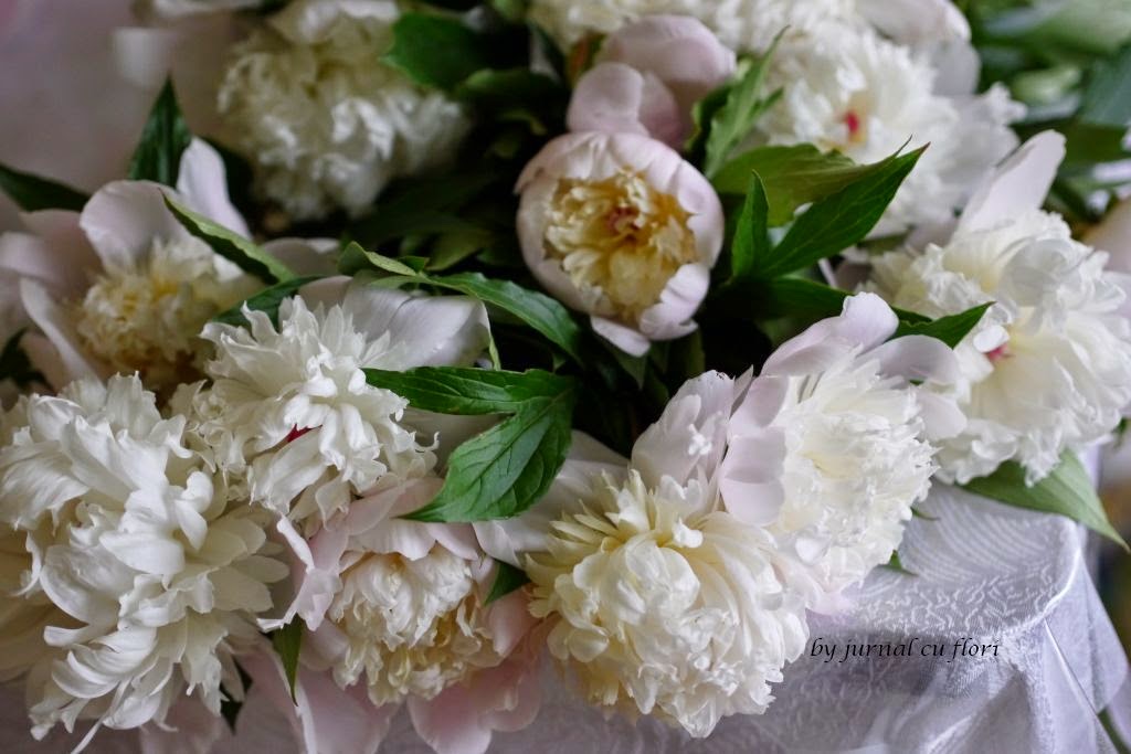 Jurnal cu flori: Luna mai: Bujori si trandafiri