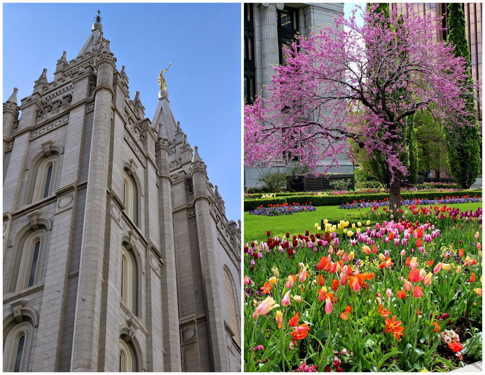 temple square ridiculousness