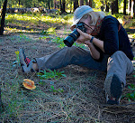 Payson Ponderings: Payson's Christmas Light Parade