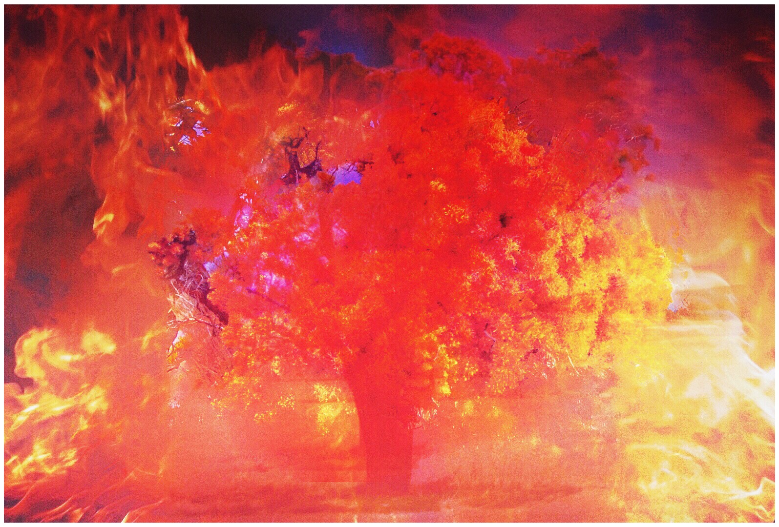 The Silver Fox: If You Look Closely It Is Written Over And Over Upon My ...