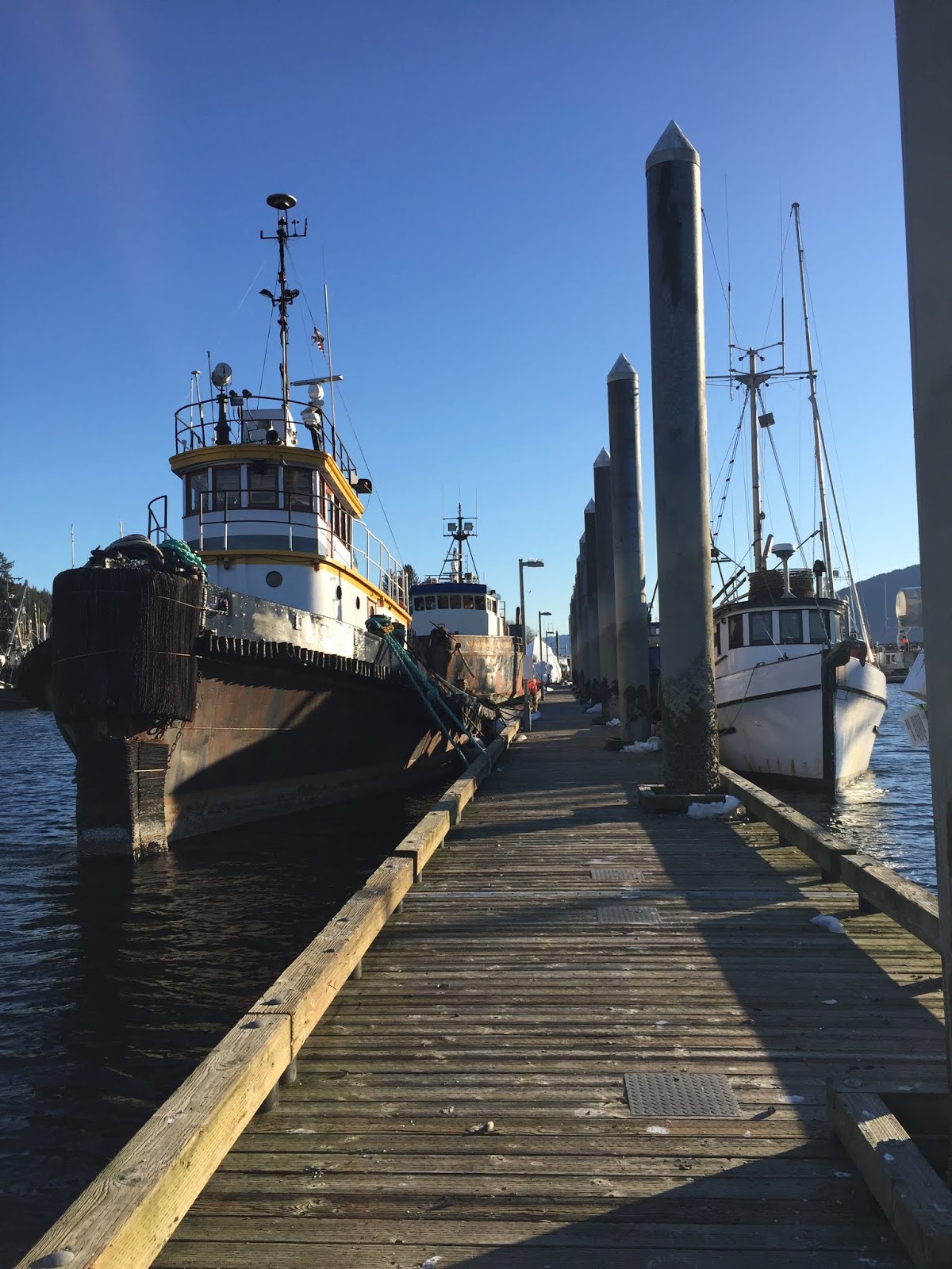 Denali Rose: Tidbit: Docking with Bull Rails Instead of Cleats ...