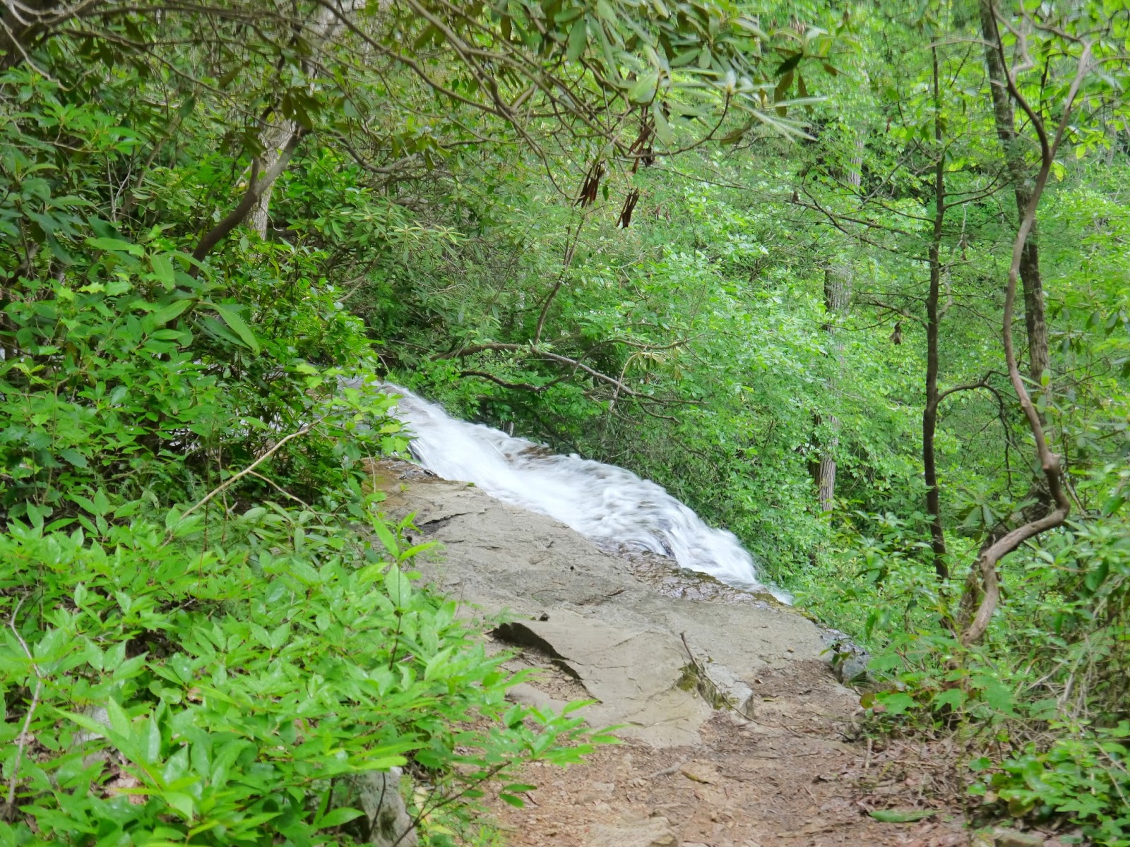 American Travel Journal: Benton Falls - Cherokee National Forest