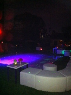 HOLLYWOOD SUE CAMERON: DAGNY DUBELKO'S 50TH