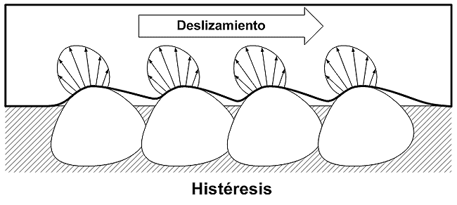 Neumáticos Nasa : Adherencia
