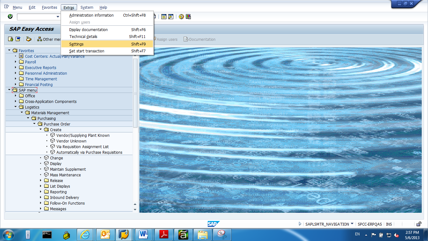 SAP Screen Cast: Display Transaction name in SAP menu