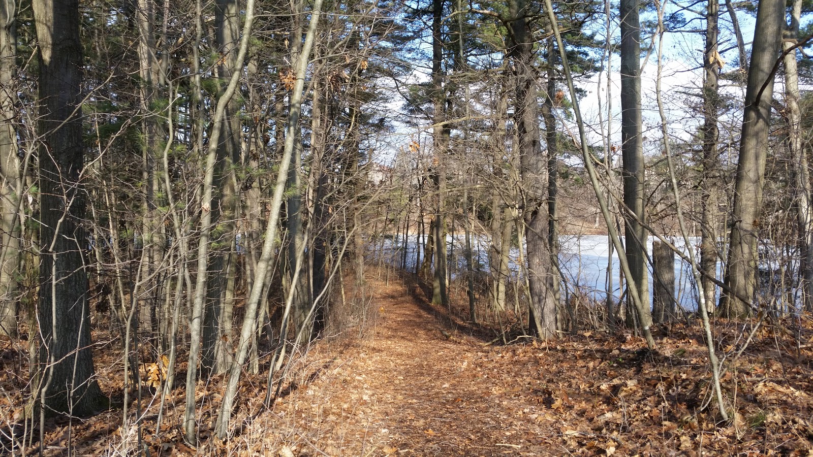 Adventure Series - The Mill Pond EcoTrail