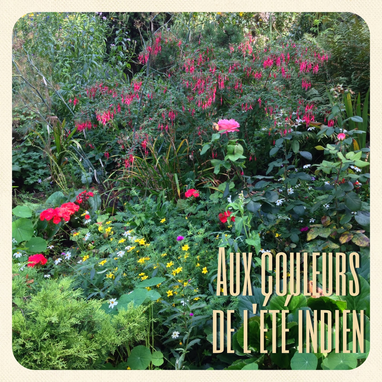 Journal d'une beauty paresseuse: La semaine de la Beauty Paresseuse sur ...