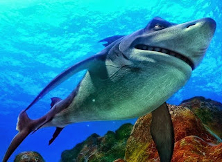 Das Weally Cool! - Reviews By Him, Written By Me: Paramount Pictures Film Review: The Reef 2 ...