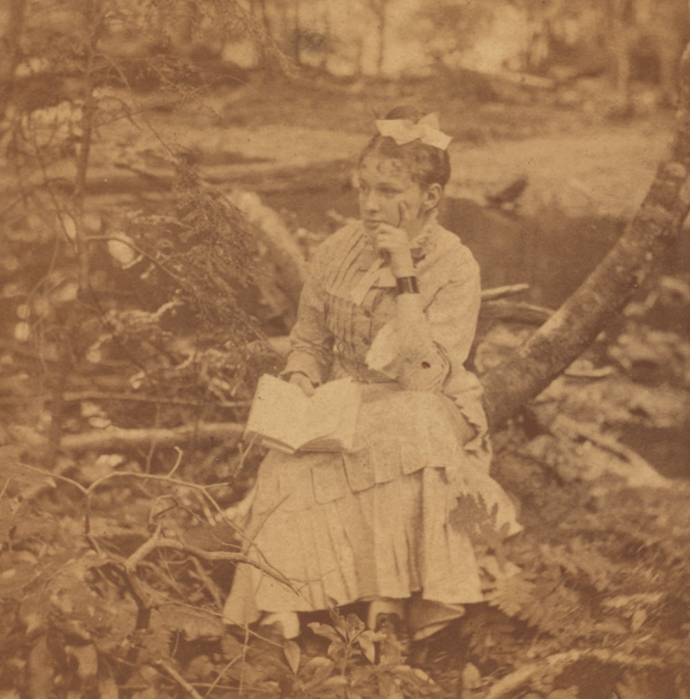 30 Stunning 3D Animated Stereo Images from the Late 19th Century ...