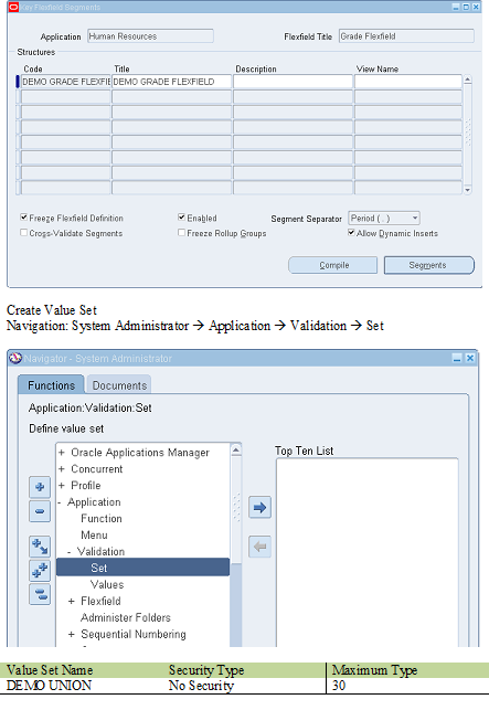 Oracle Applications: Oracle Apps Core HRMS Functional Setups