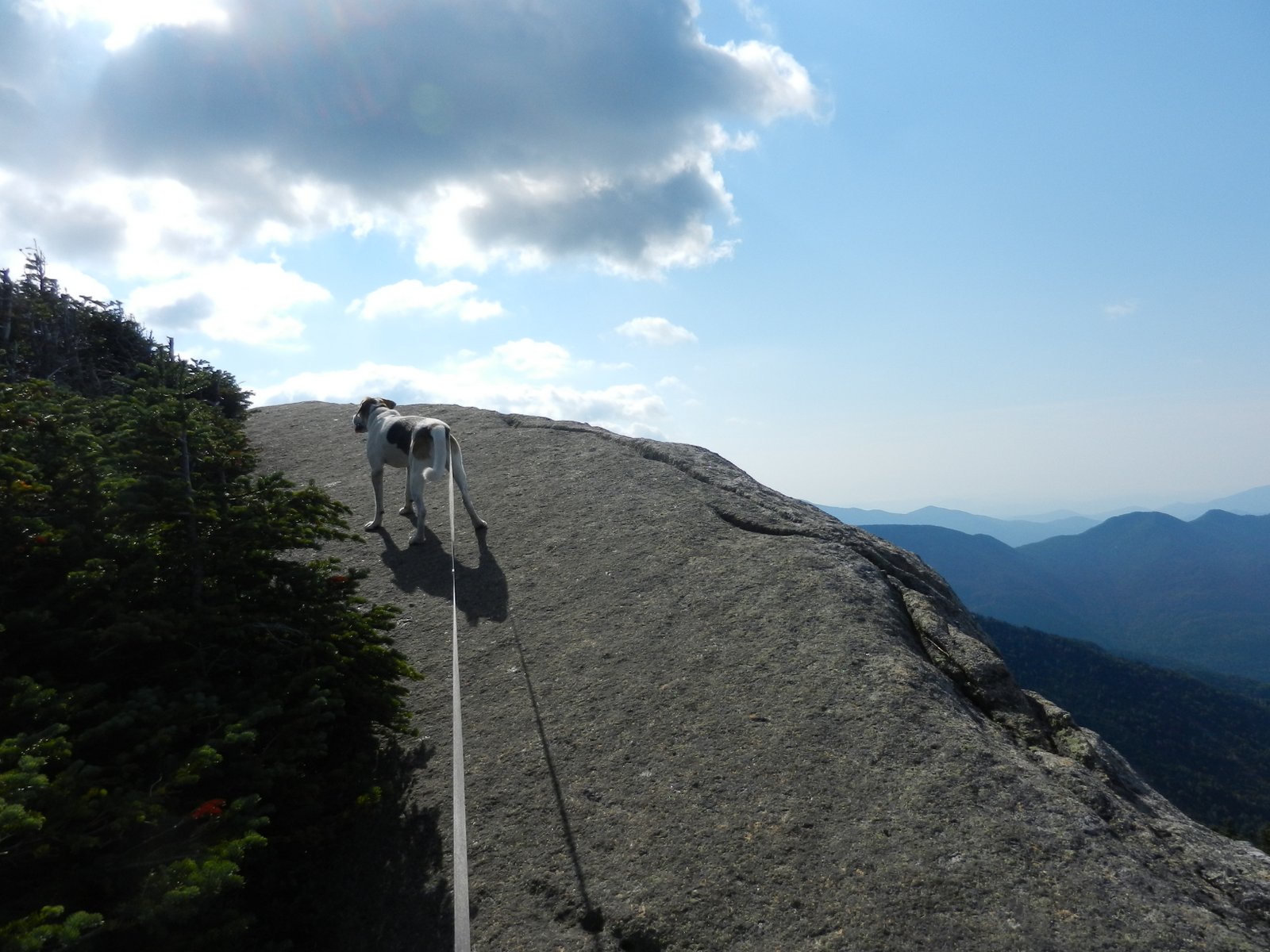 Wolfjaws, Armstrong, Gothics : Adirondacks