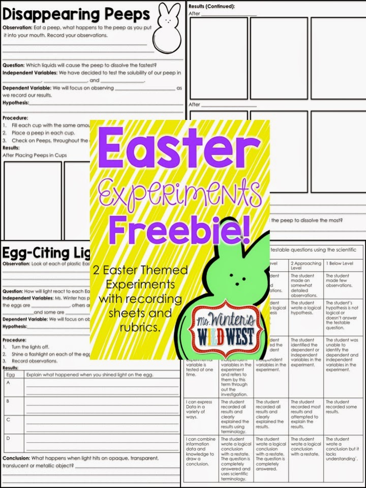 Ms. Winter's Wild West: Egg-Citing Science