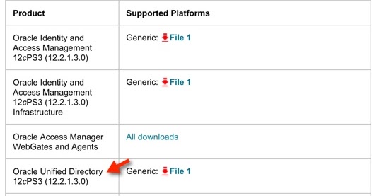 More than just Identity & Access Management: OUD (Oracle Unified ...