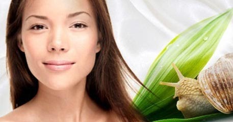 Bienfaits de la bave d'escargot pour la peau