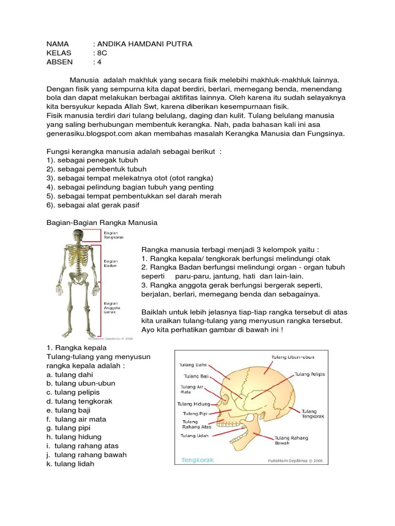 gambar rangka manusia - wood scribd indo