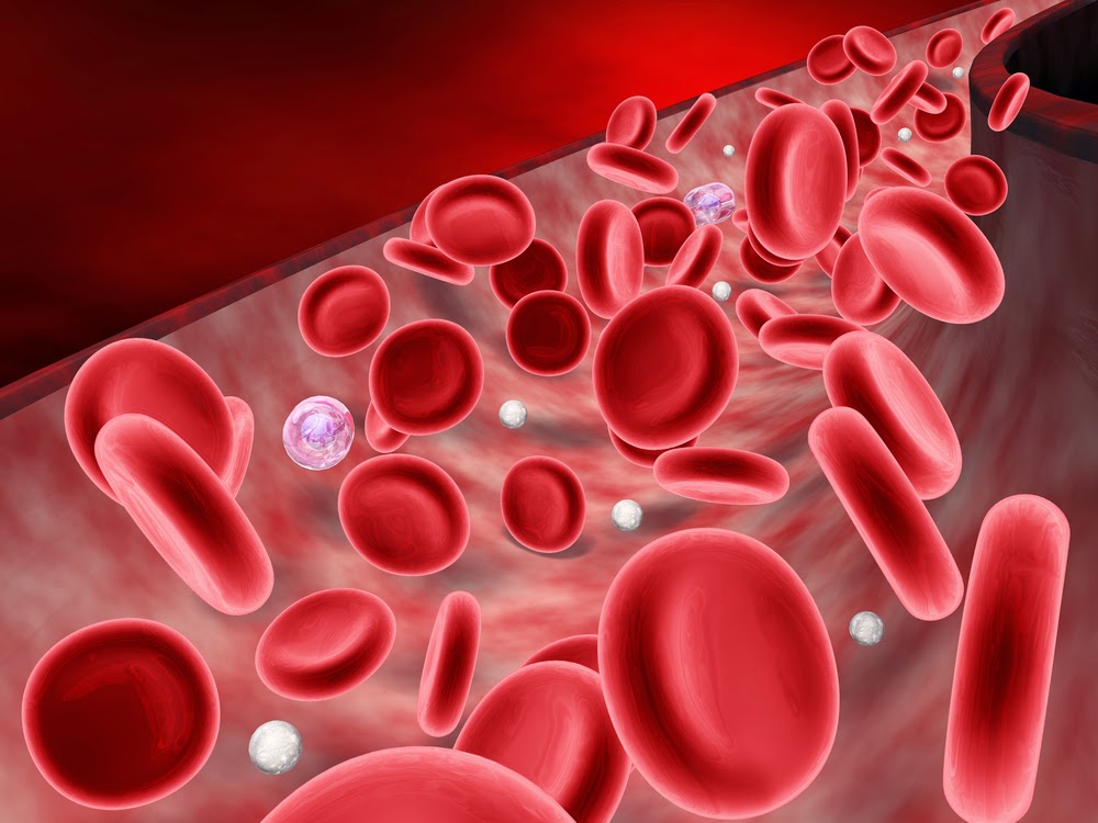 La sangre: Propiedades de la sangre