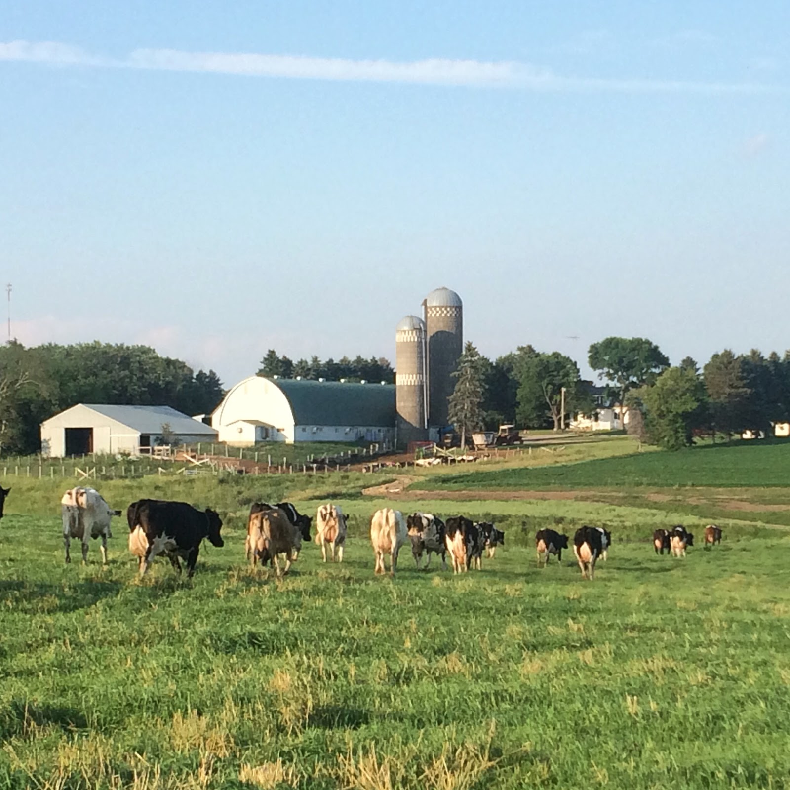 Dairy Good Life: Staying Connected and Informed – Dairy Farming with Tech