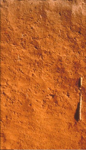 Welcome to Fiji Islands: Soil of Fiji Island