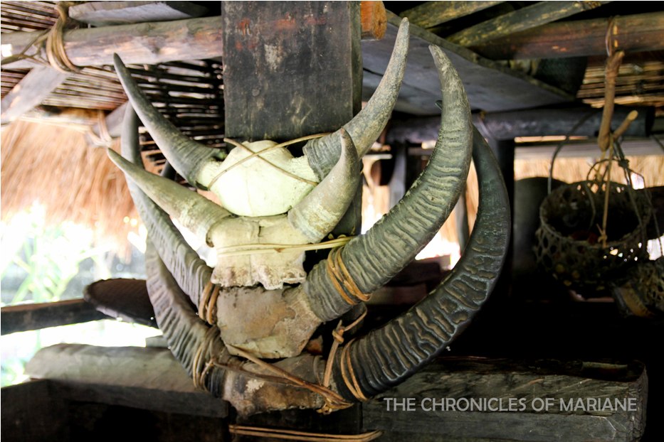 The Majestic Banaue Rice Terraces and Bontoc Museum | The Chronicles of ...