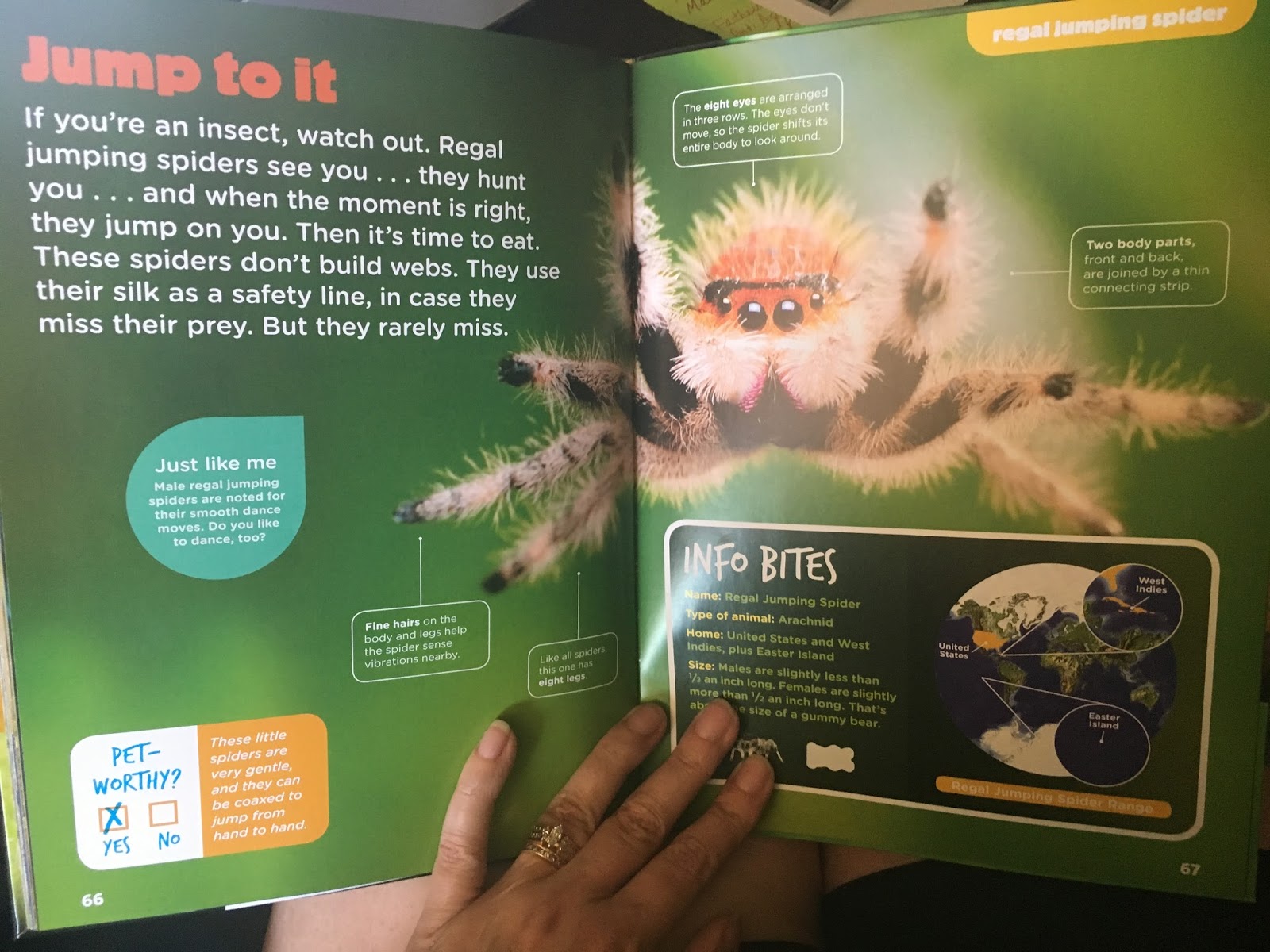 Children's Book Review: Animal Planet Animal Bites Farm and Wild ...