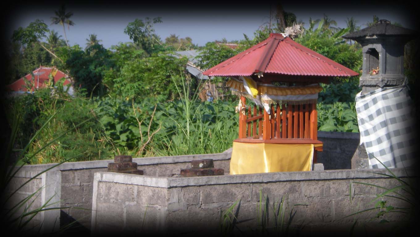 all around indonesia: SUBAK, AN EXTRAORDINARY IRRIGATION SYSTEM IN BALI