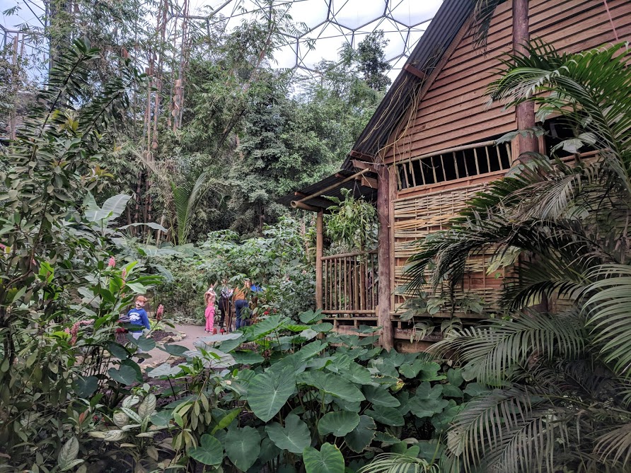 10 Reasons to Visit the Eden Project in Winter | North East Family Fun