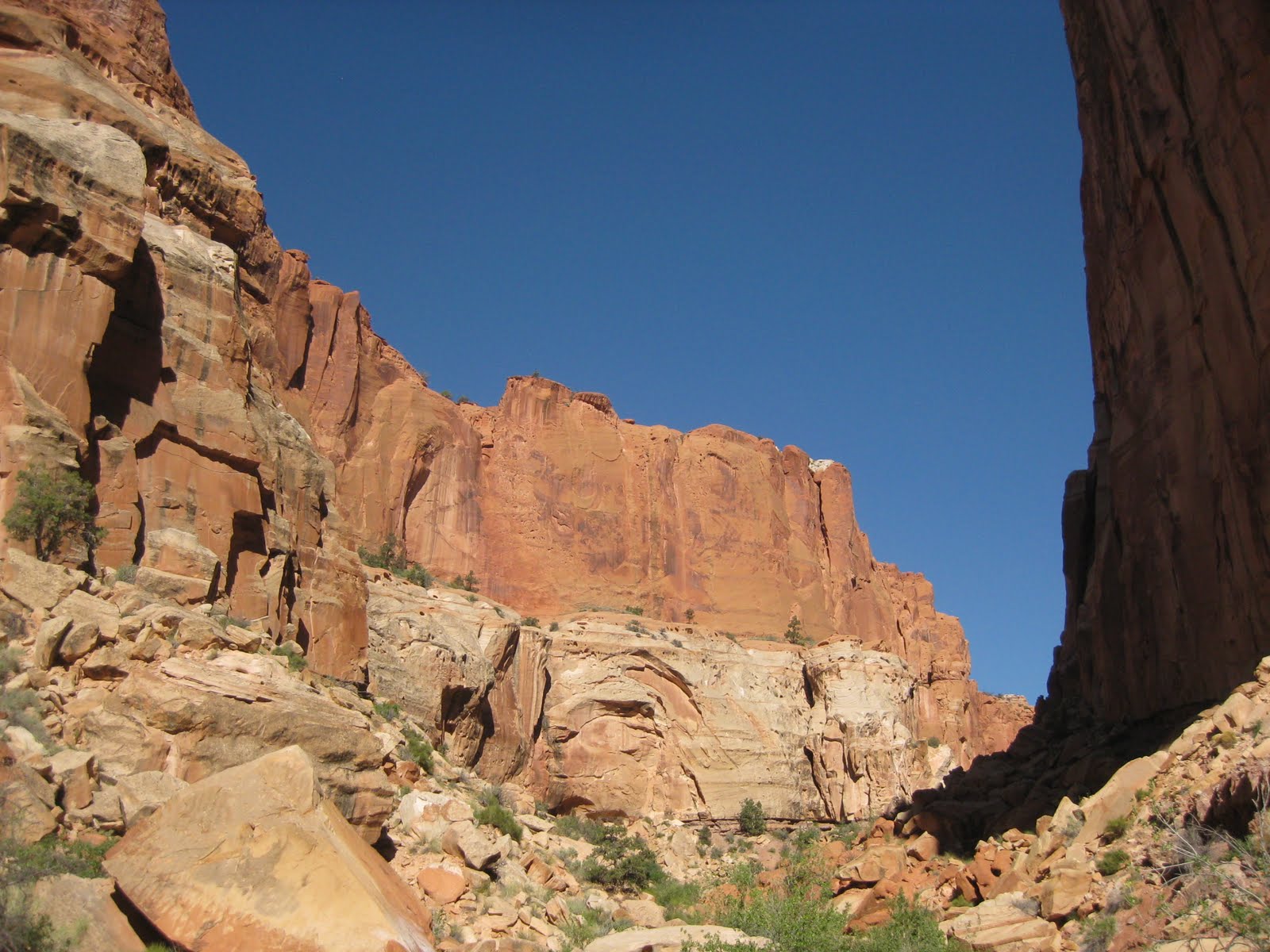 Geology Happens: Where did the Wingate go?