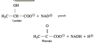 The world of science: BIOQUÍMICA