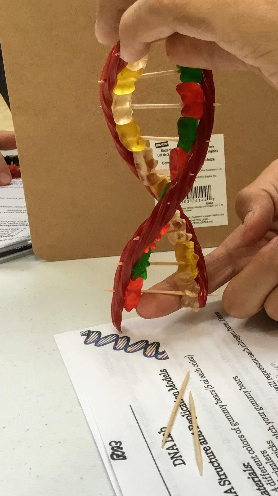 Biology by the Math Mom: Visualizing Real DNA and a Model