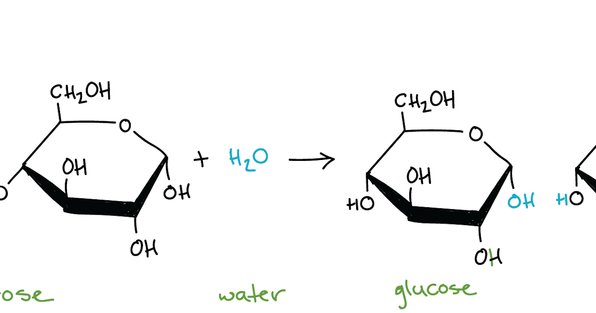Hydrolysis