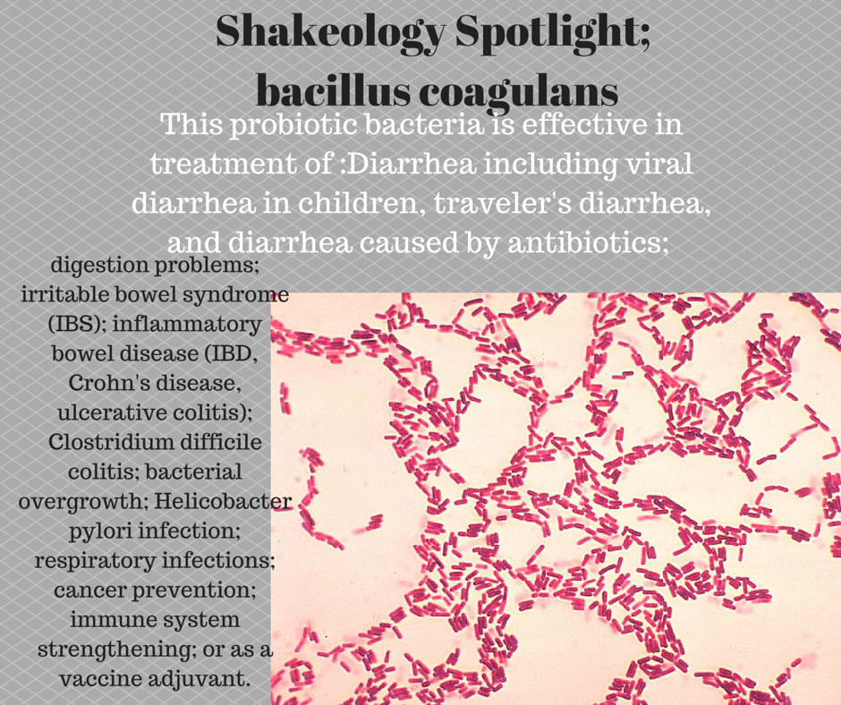 Lindsay Bauer Wellness: Shakeology Spotlight - bacillus coagulans