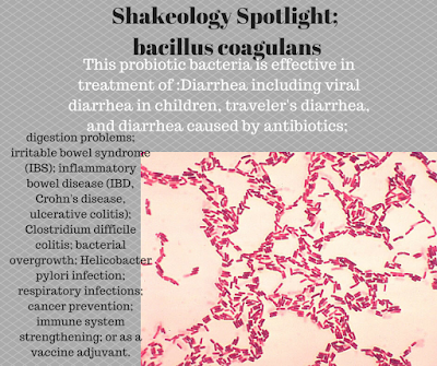 Lindsay Bauer Wellness: Shakeology Spotlight - bacillus coagulans