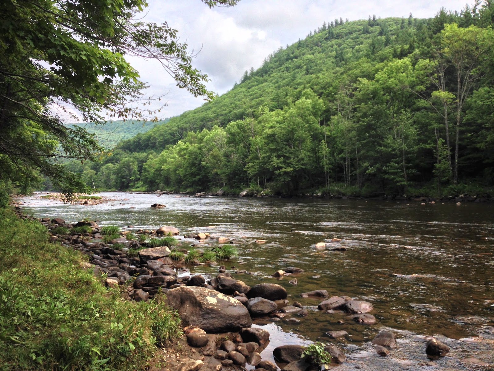 Velophoria: A Weekend at Mohawk Trail State Forest
