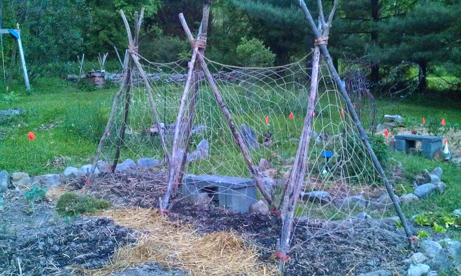 Flora Vale Farmstead: Weaving Bean Catchers