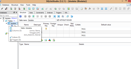 MOBILE COMPUTING: Membuat CRUD Biodata Menggunakan Database SQL Lite di Android Studio