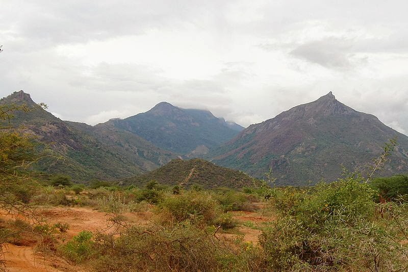 Tamilnadu Tourism: Megamalai