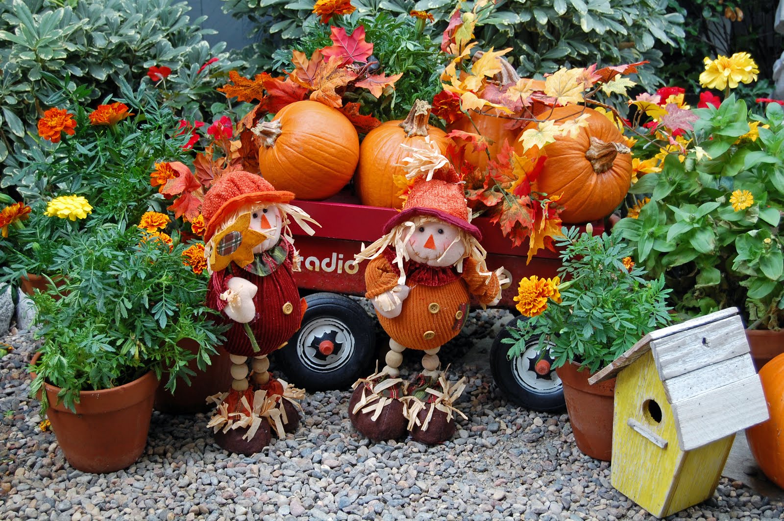 Happy Fall ~ Great Beautiful Garden