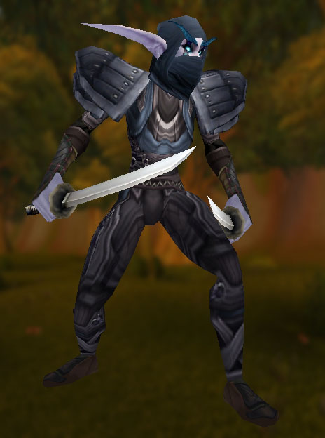 Ninja | Transmog Hunter WoW Guide